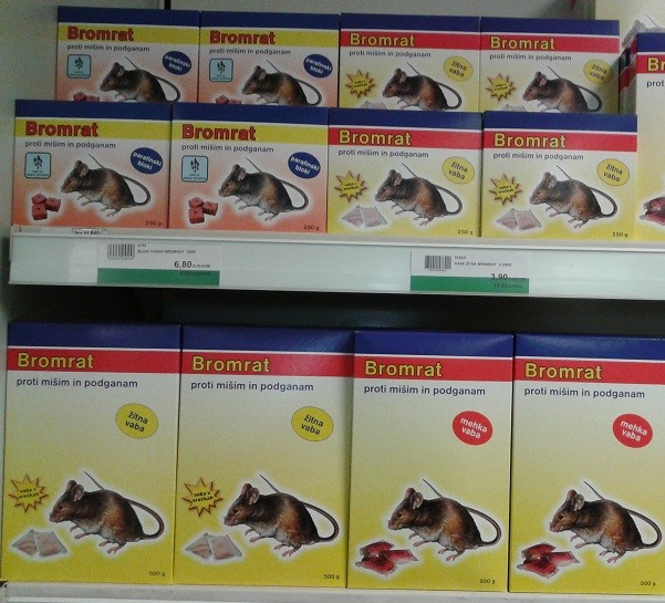 Zastrupitev s strupom za podgane ali polže – Medicovet d.o.o.